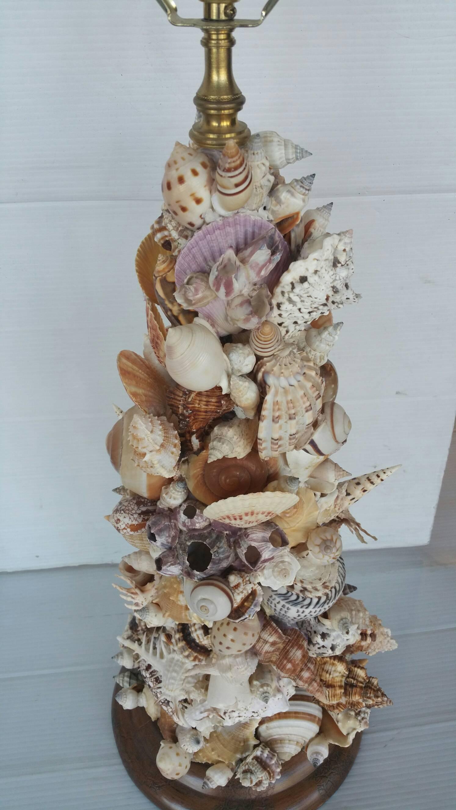 Pair of Shell Table Lamps at 1stDibs