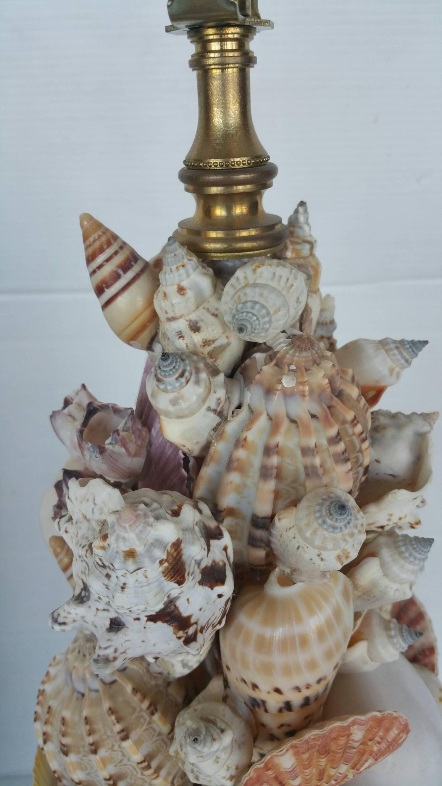 Pair of Shell Table Lamps at 1stDibs