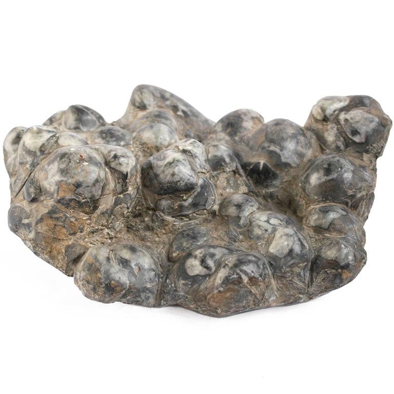 Chinese Scholar's Rock For Sale at 1stdibs