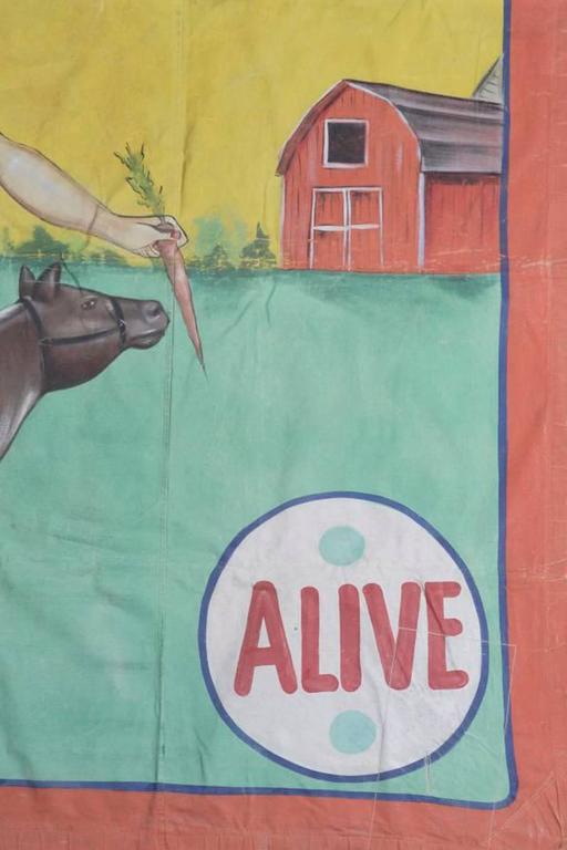 "Midget Stallion" Carnival Banner at 1stDibs