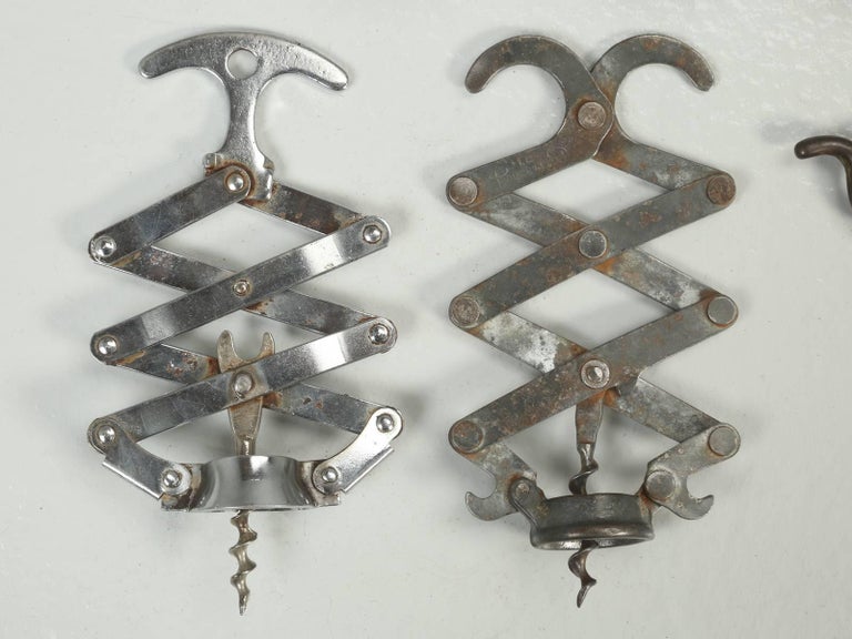 Collection of '12' Antique French Corkscrews at 1stDibs