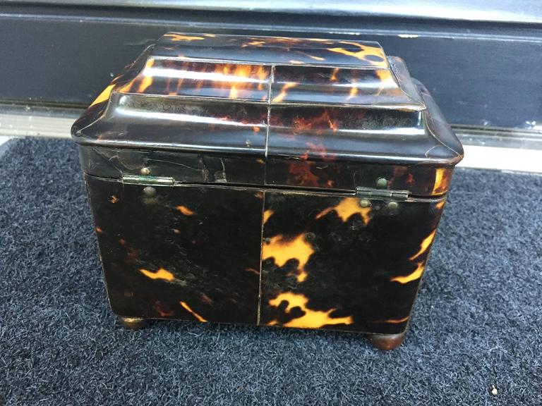 19th Century Chocolate Tortoise Shell Serpentine Tea Caddy at 1stDibs