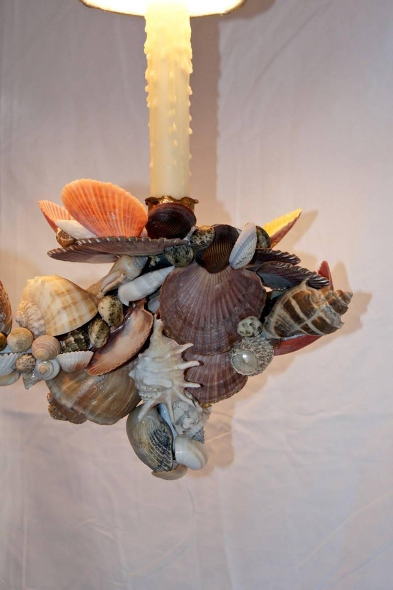 Vintage Shell Chandelier For Sale at 1stDibs | shell chandelier vintage ...