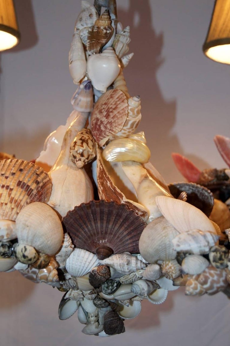 Vintage Shell Chandelier For Sale at 1stDibs | shell chandelier vintage ...