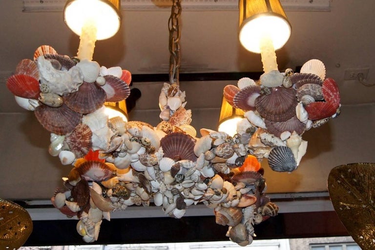 Vintage Shell Chandelier For Sale at 1stDibs | shell chandelier vintage ...