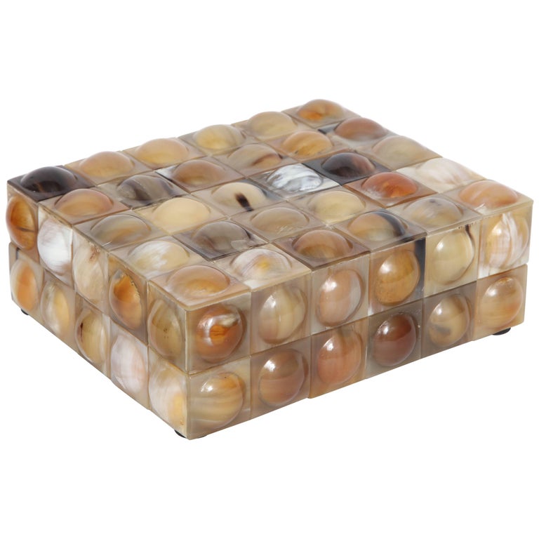 Decorative Horn Box at 1stDibs