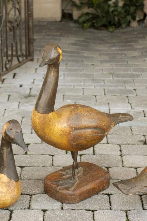 Set of Three 1900s Life-Size Wood Carved Black-Necked Painted Geese at ...