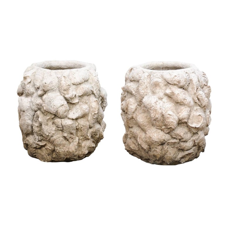 Pair of Round Concrete Shell Planters from the Mid-20th Century at 1stDibs