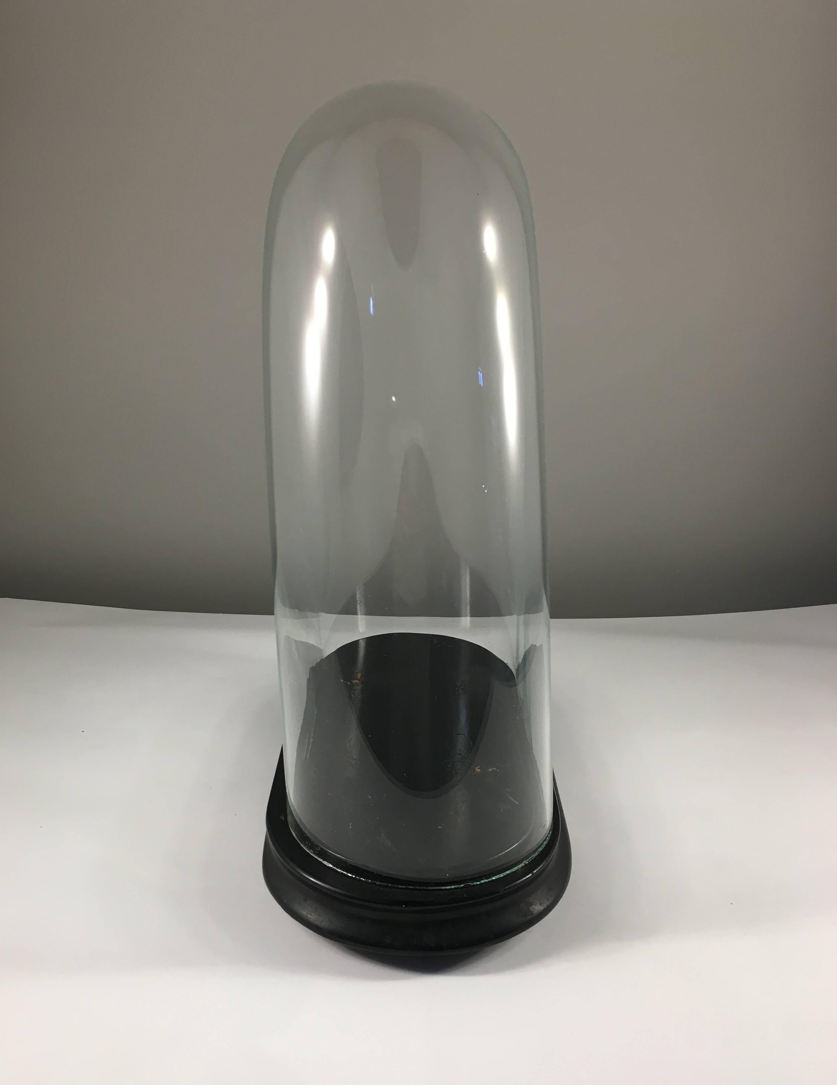 Victorian Era Clock Dome at 1stDibs