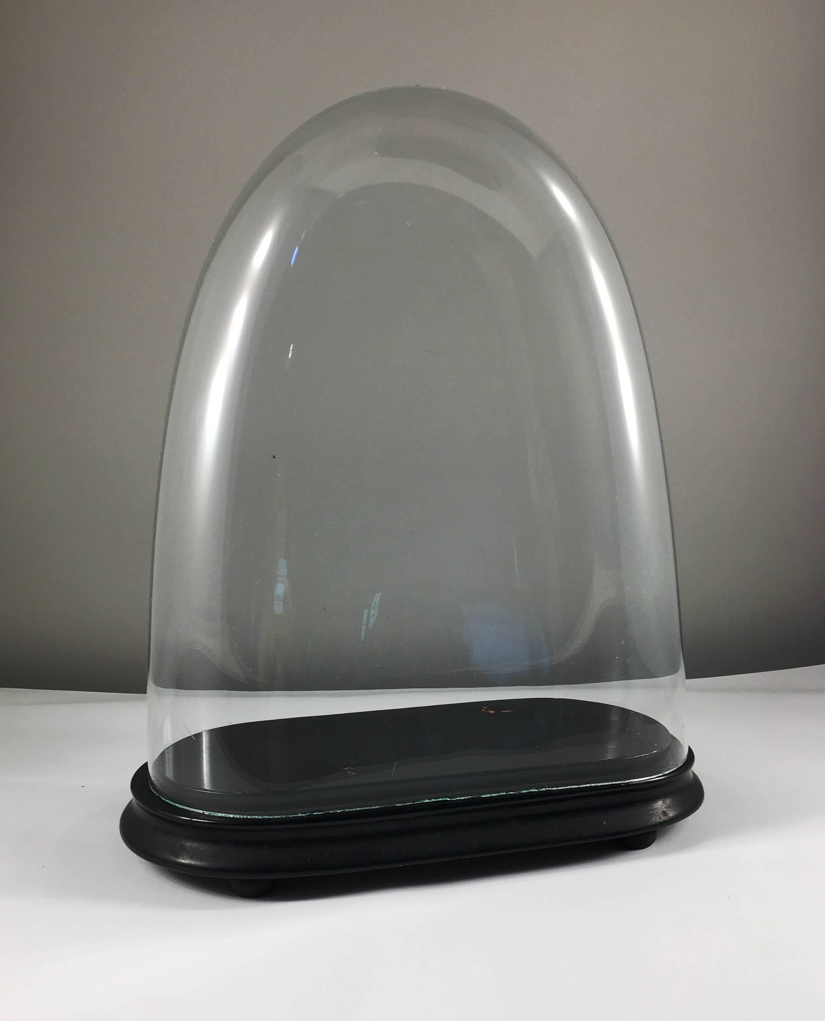 Victorian Era Clock Dome at 1stDibs