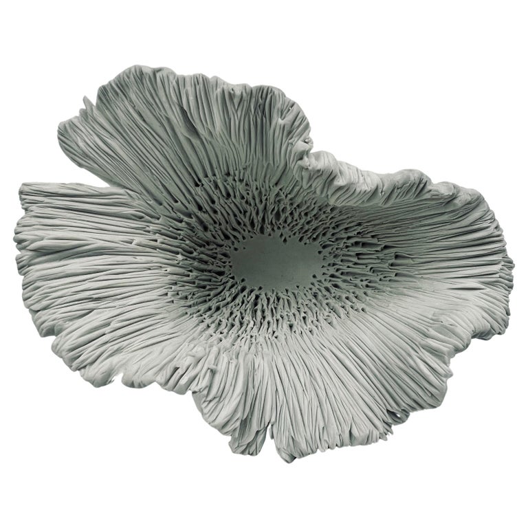 Dream like Sea Forms in Porcelain and Clay-Created by Hand For Sale at ...