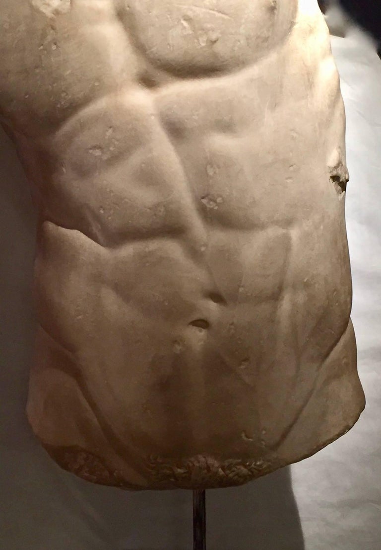 Large Plaster 'Roman' Torso on Stand, Italy, circa 1950 at 1stDibs