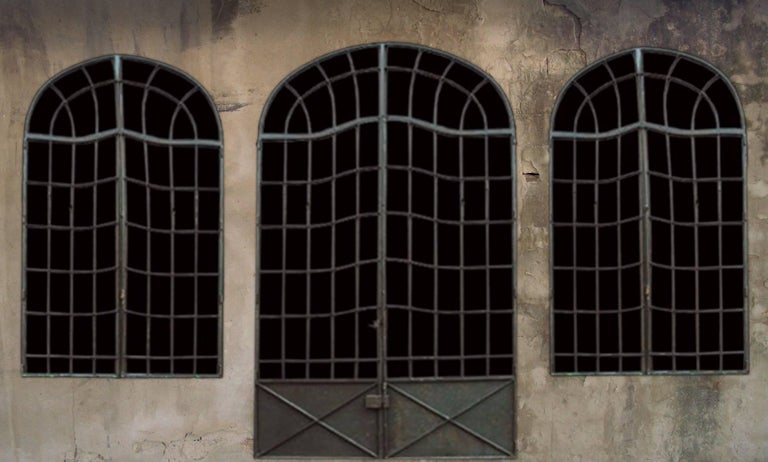 Iron Multi-Light Windows and Doors For Sale at 1stDibs