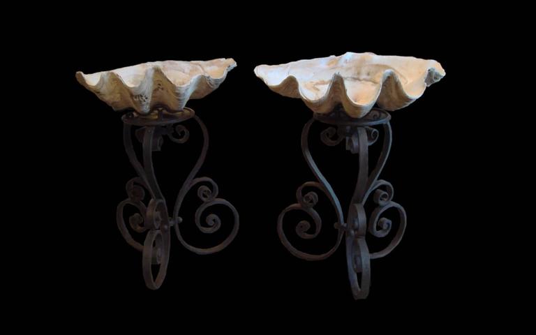 Pair of Gigantic Clam Shells on Metal Pedestals For Sale at 1stDibs