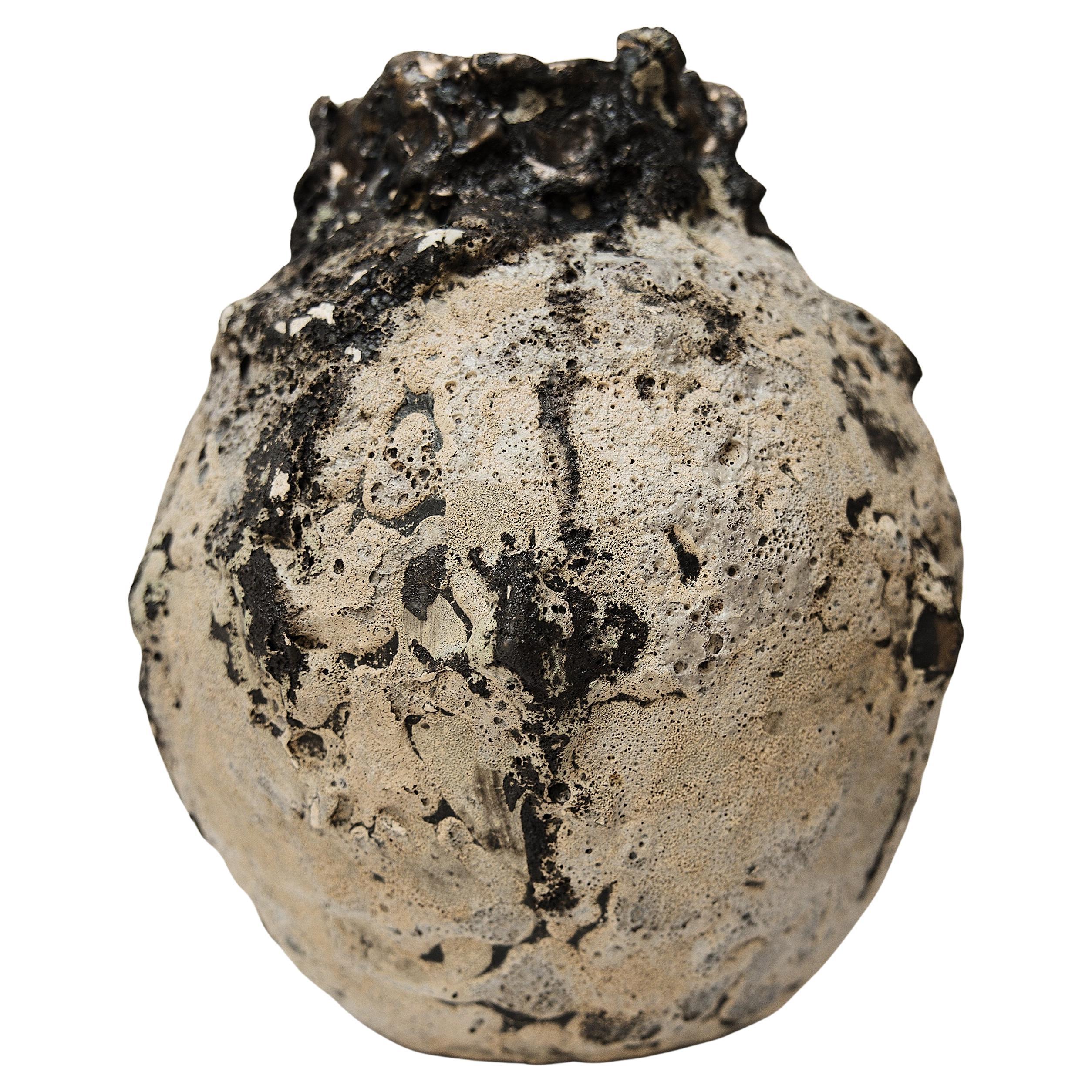 Lichen Vase with Autumn Textured Glaze For Sale at 1stDibs