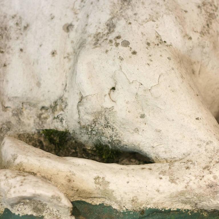 Vintage French Stone Stag from a Country Château Near Uzes, circa 1950 ...