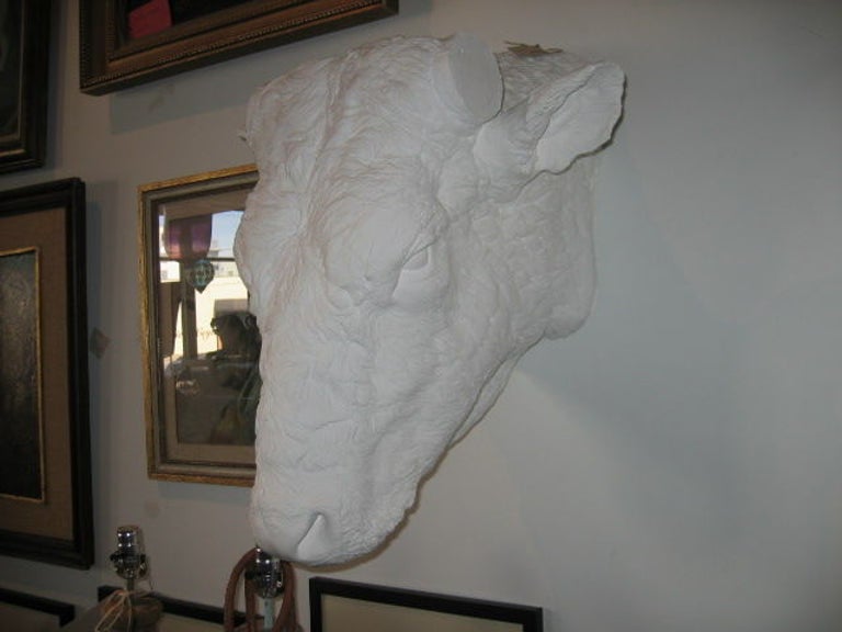 19th Century Beaux Arts Plaster Bull Head For Sale at 1stDibs
