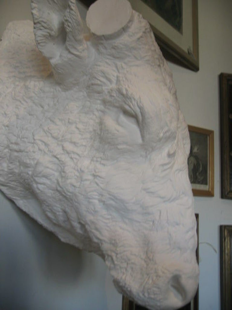 19th Century Beaux Arts Plaster Bull Head For Sale at 1stDibs