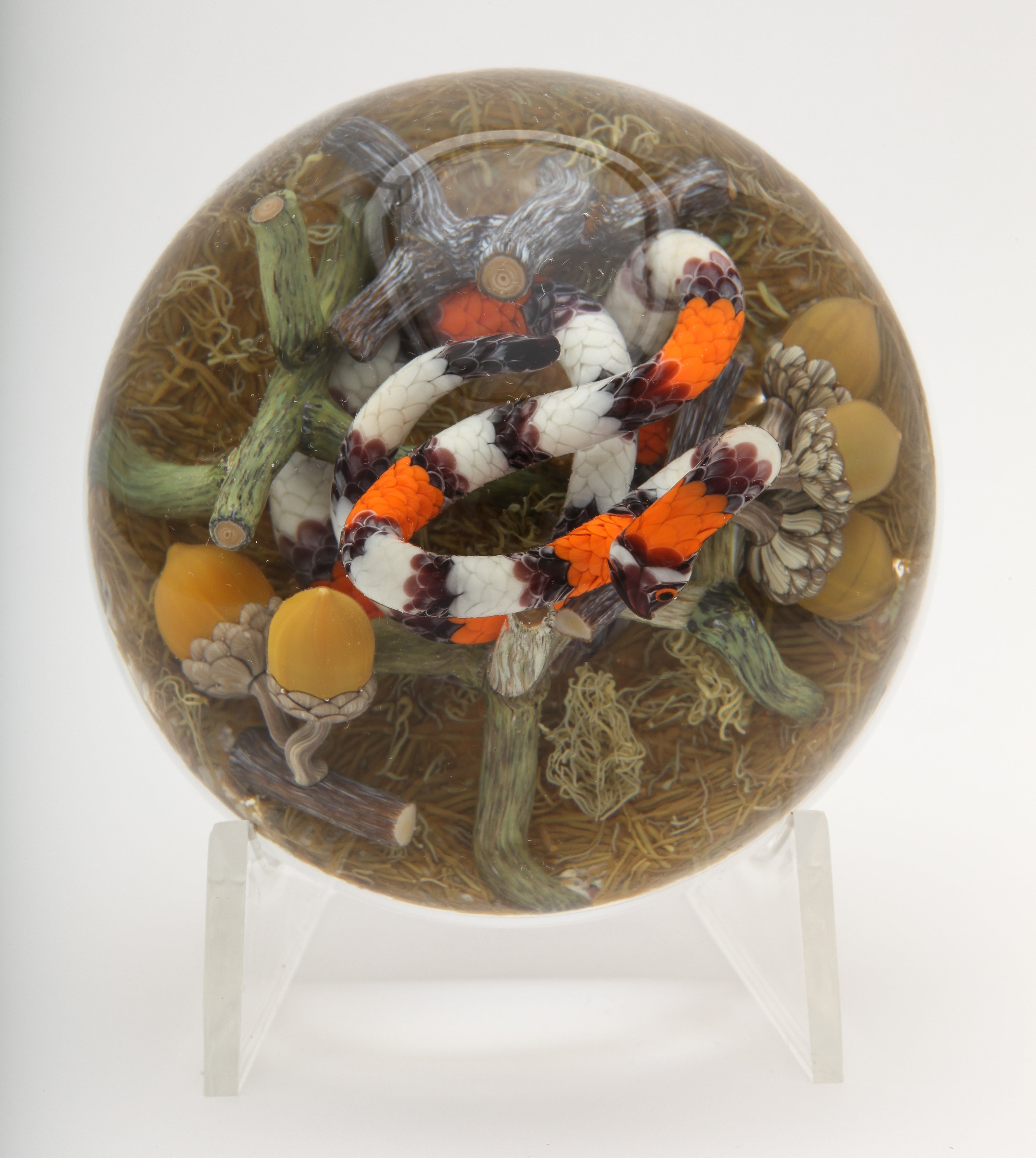 Gordon Smith Cobra Coral Snake Paperweight For Sale at 1stDibs