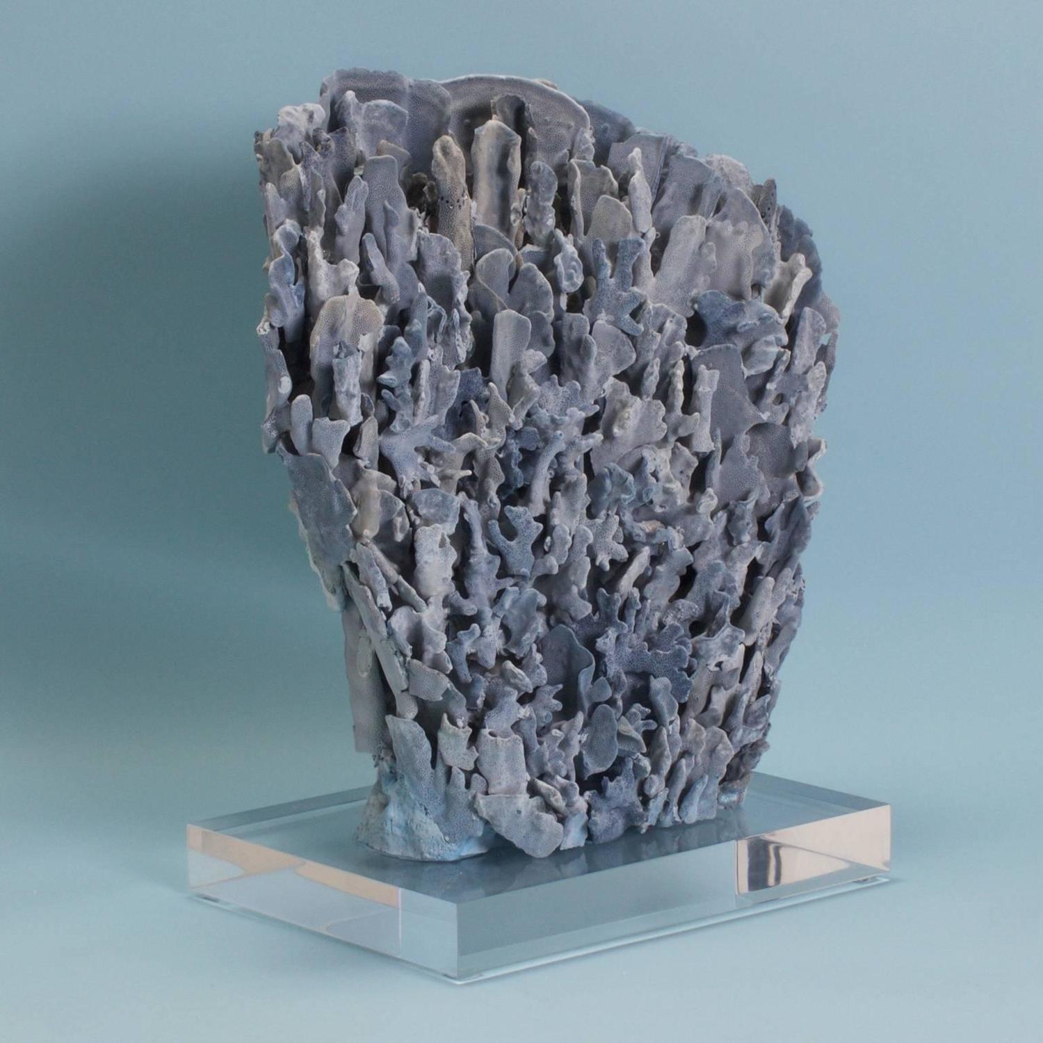 Large Modern Blue Coral Sculpture For Sale at 1stdibs