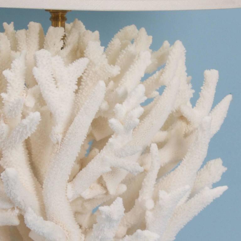 Chic Staghorn and Blue Coral Table Lamp at 1stDibs