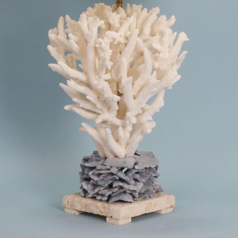 Chic Staghorn and Blue Coral Table Lamp at 1stDibs