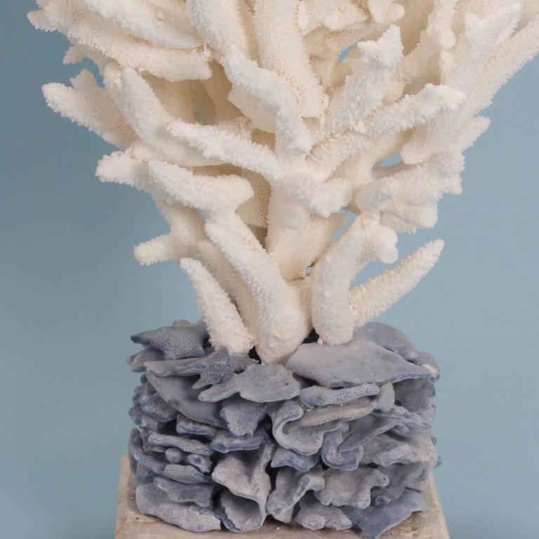 Chic Staghorn and Blue Coral Table Lamp at 1stDibs