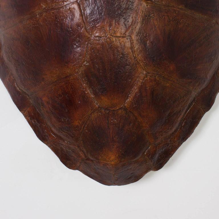 Faux Green Turtle Shell at 1stDibs