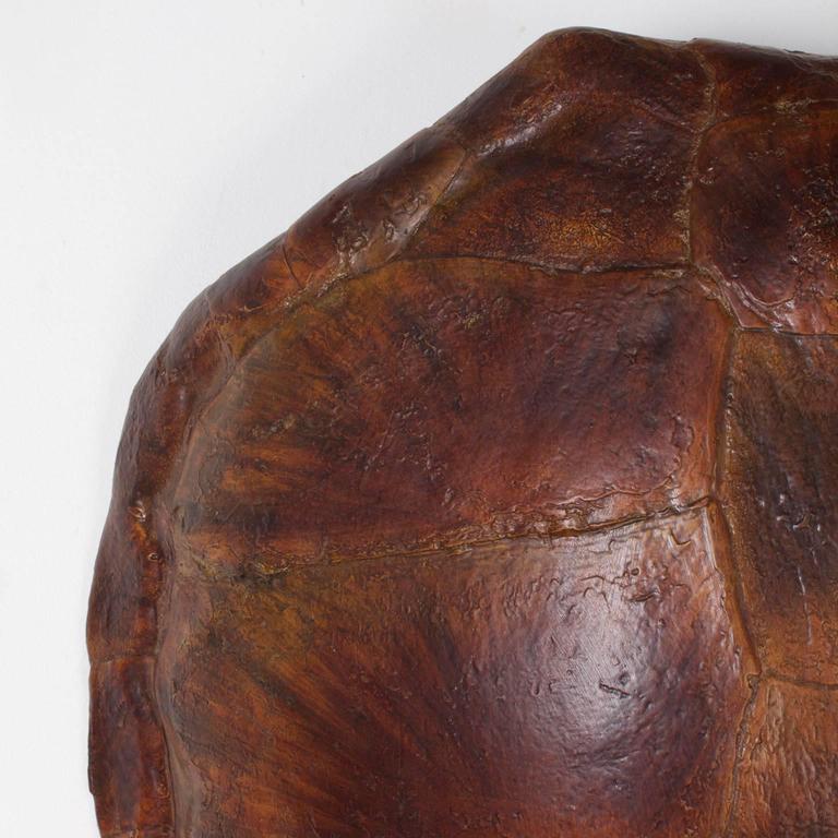 Faux Green Turtle Shell at 1stDibs