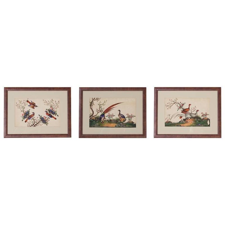 Three Chinese Pith Paintings For Sale at 1stDibs