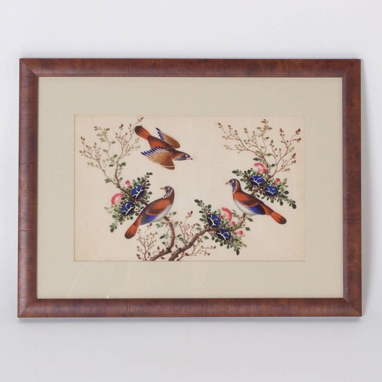 Three Chinese Pith Paintings For Sale at 1stDibs