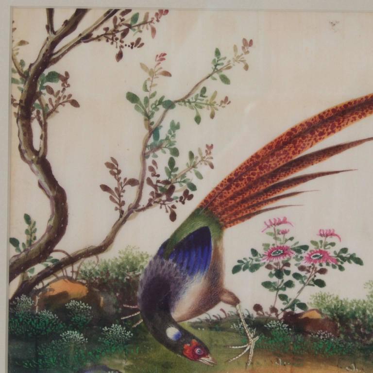 Three Chinese Pith Paintings For Sale at 1stDibs