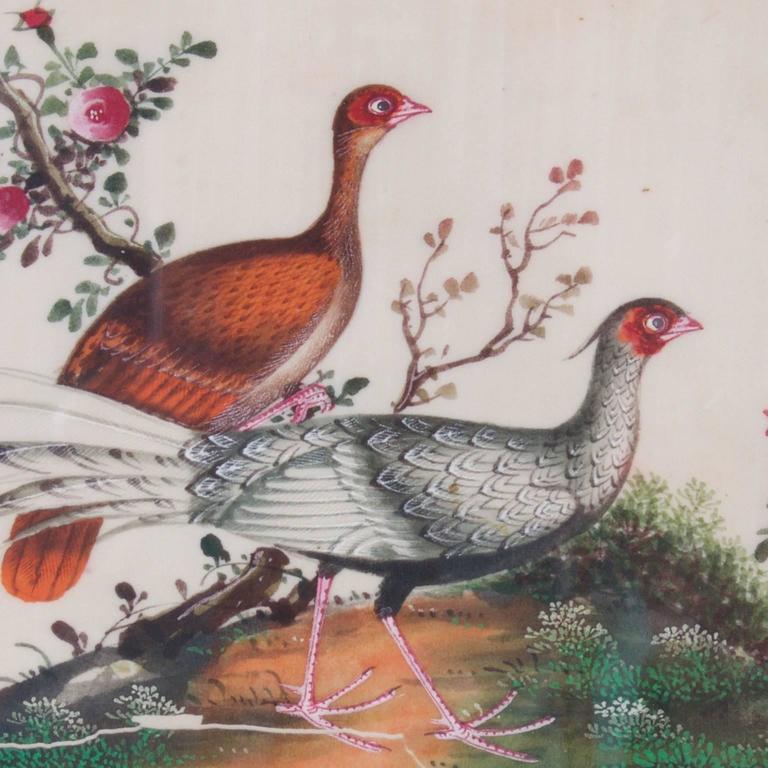 Three Chinese Pith Paintings For Sale at 1stDibs