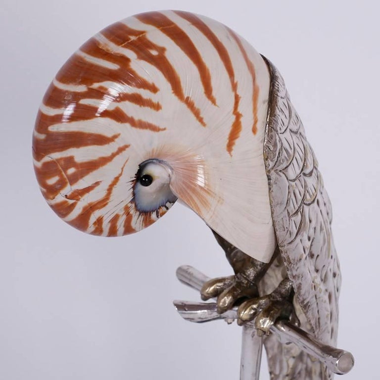 Two Mid-Century Nautllus Shell Parrot Sculptures at 1stDibs