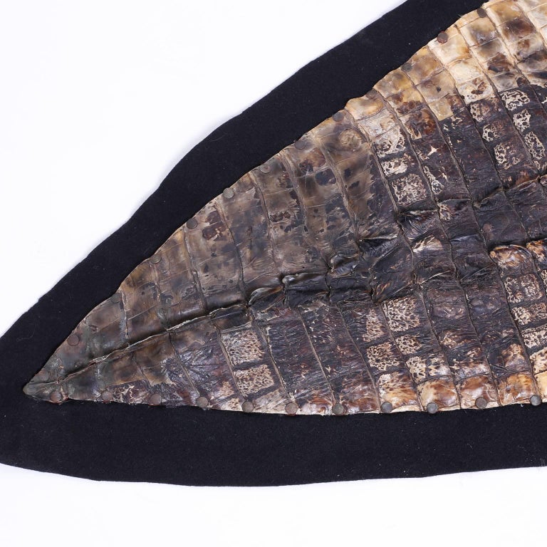 Taxidermy Alligator Rug or Hide at 1stDibs