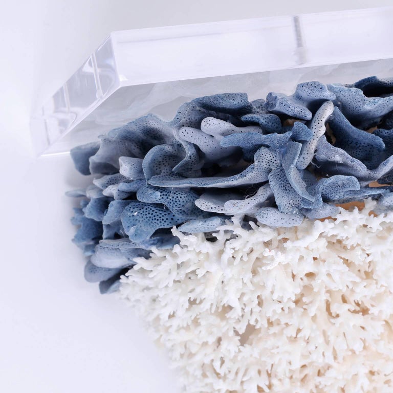 Pair of Coral Brackets at 1stDibs