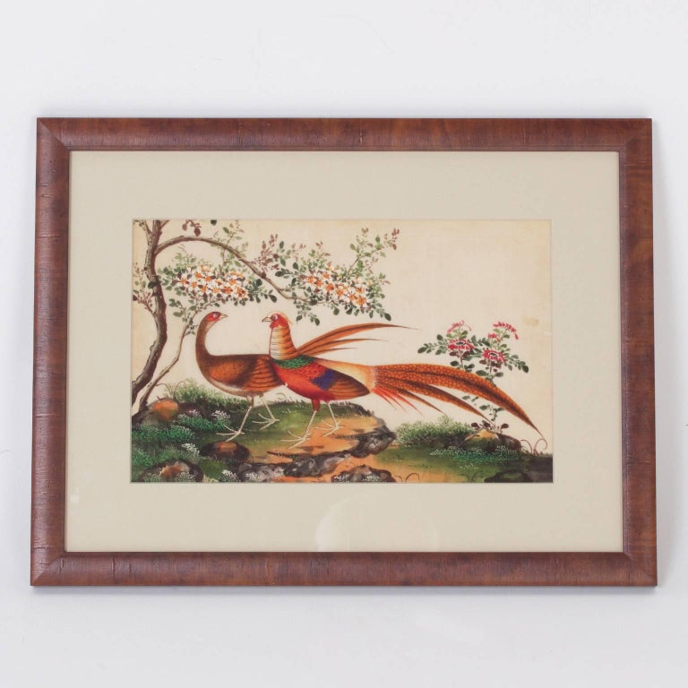Six Chinese 19th Century Pith Paintings at 1stDibs