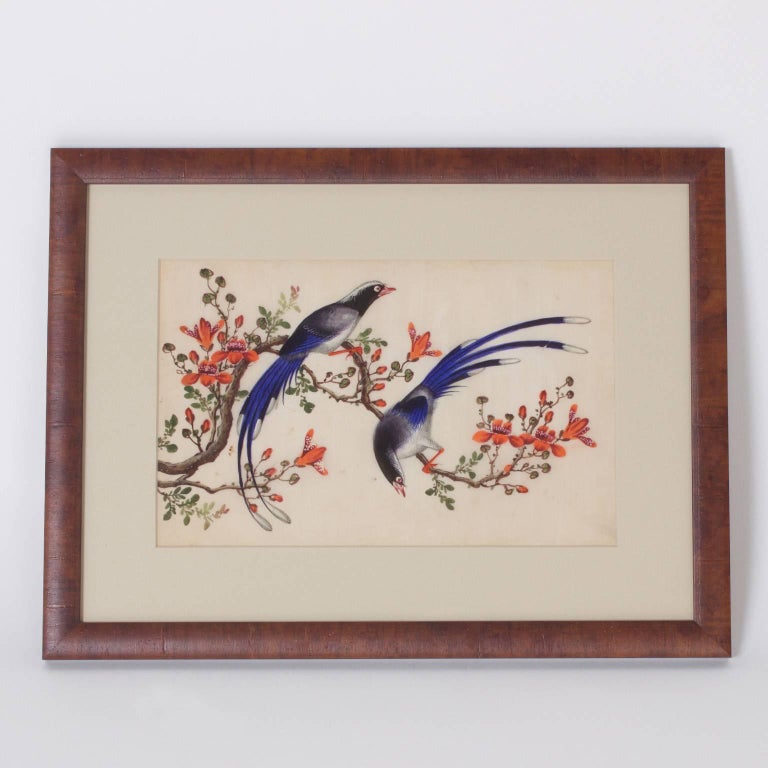 Six Chinese 19th Century Pith Paintings at 1stDibs