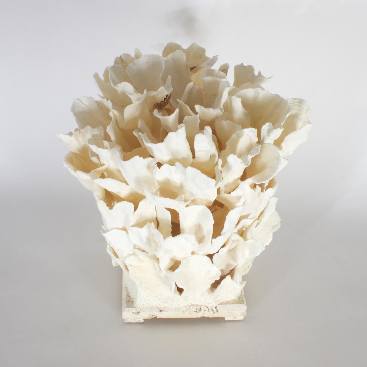 Rugosa Coral Sculpture For Sale at 1stdibs