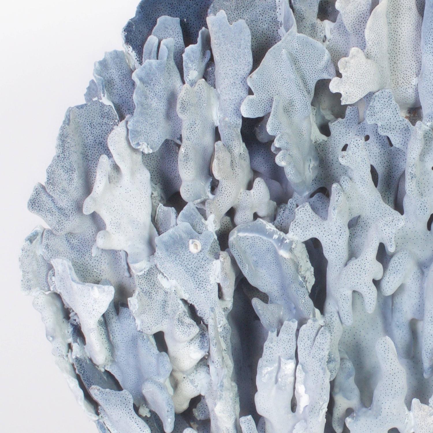 Large and Impressive Blue Coral Sculpture For Sale at 1stdibs