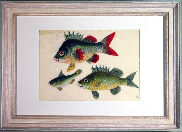 Chinese Watercolours of Fish in a set of nine on Pith Paper For Sale at ...