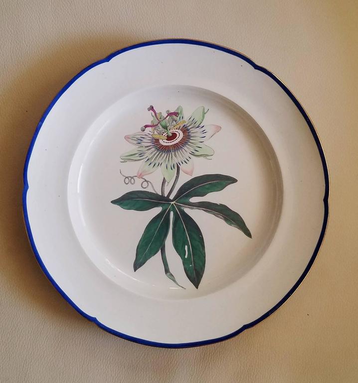 English Botanical Pearl Ware Pottery Painted Named Specimen Plates, Wm ...