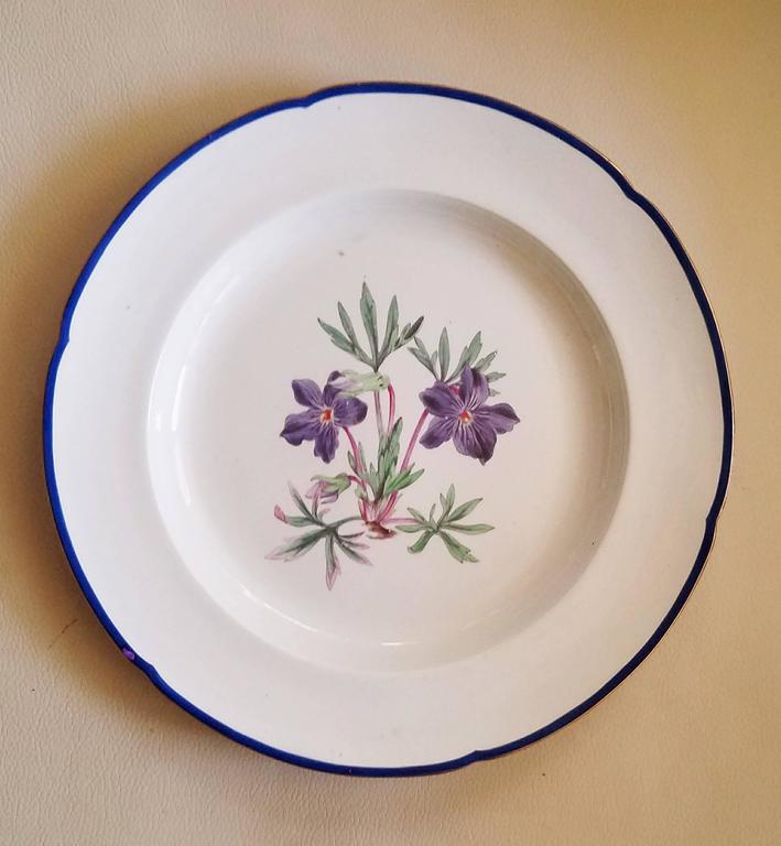 English Botanical Pearl Ware Pottery Painted Named Specimen Plates, Wm ...