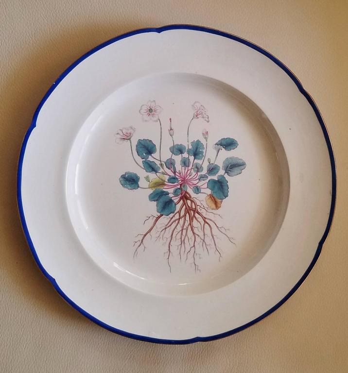 English Botanical Pearl Ware Pottery Painted Named Specimen Plates, Wm ...