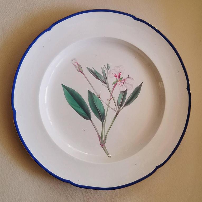 English Botanical Pearl Ware Pottery Painted Named Specimen Plates, Wm ...