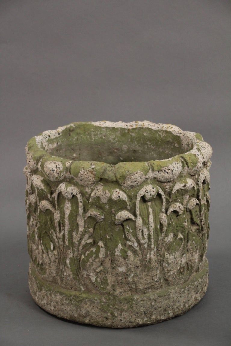 Antique Pair of 1920s Concrete Planters with Acanthus Motif at 1stDibs