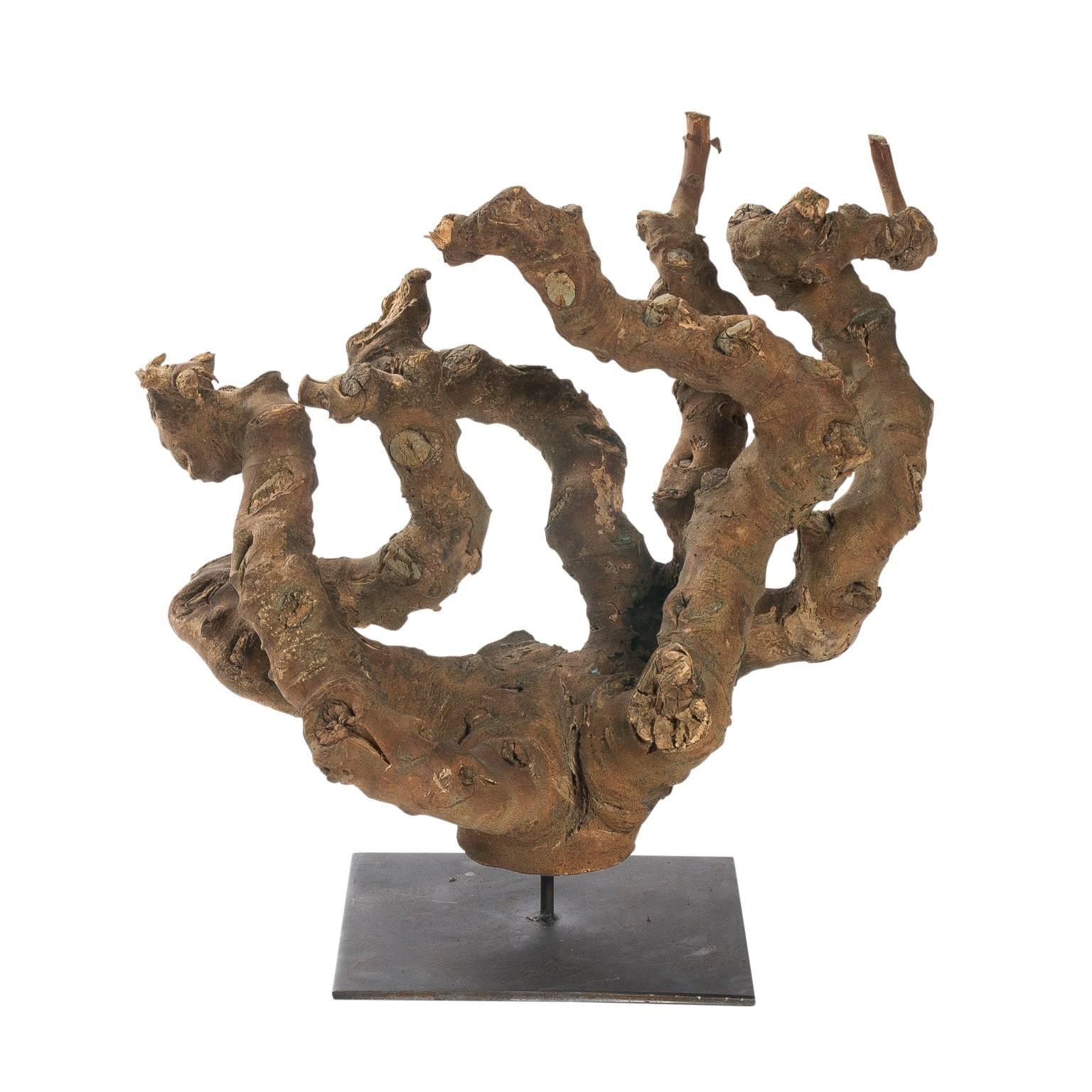 Root Sculpture For Sale at 1stDibs | wood root sculpture