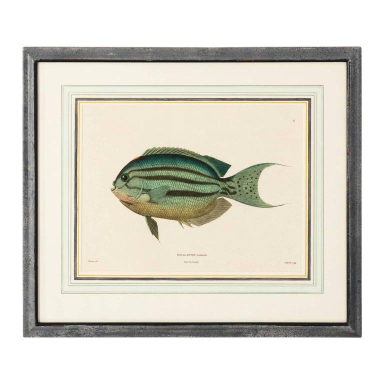 Pair of Fish Lithographs at 1stDibs