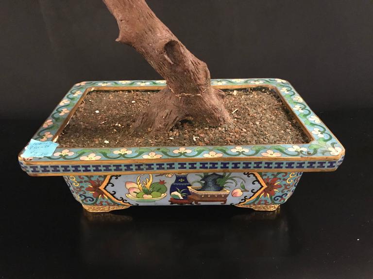 One Large Chinese Hardstone Tree in Chinoiserie Planter at 1stDibs