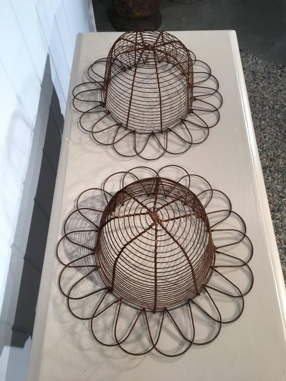 Pair of Edwardian Handcrafted English Wire Egg Baskets at 1stDibs | egg ...